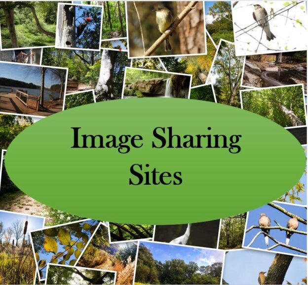Free Image Sharing Sites List 2025 | CompleteConnection