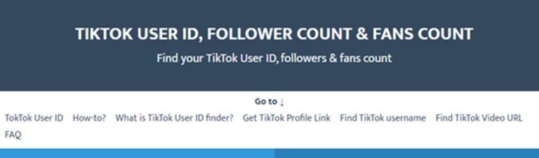 The Top 3 Tools For Performing A TikTok Profile Search » Complete ...